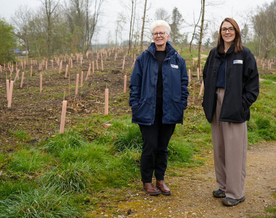 Tree planting and regeneration work underway at popular County Durham ...